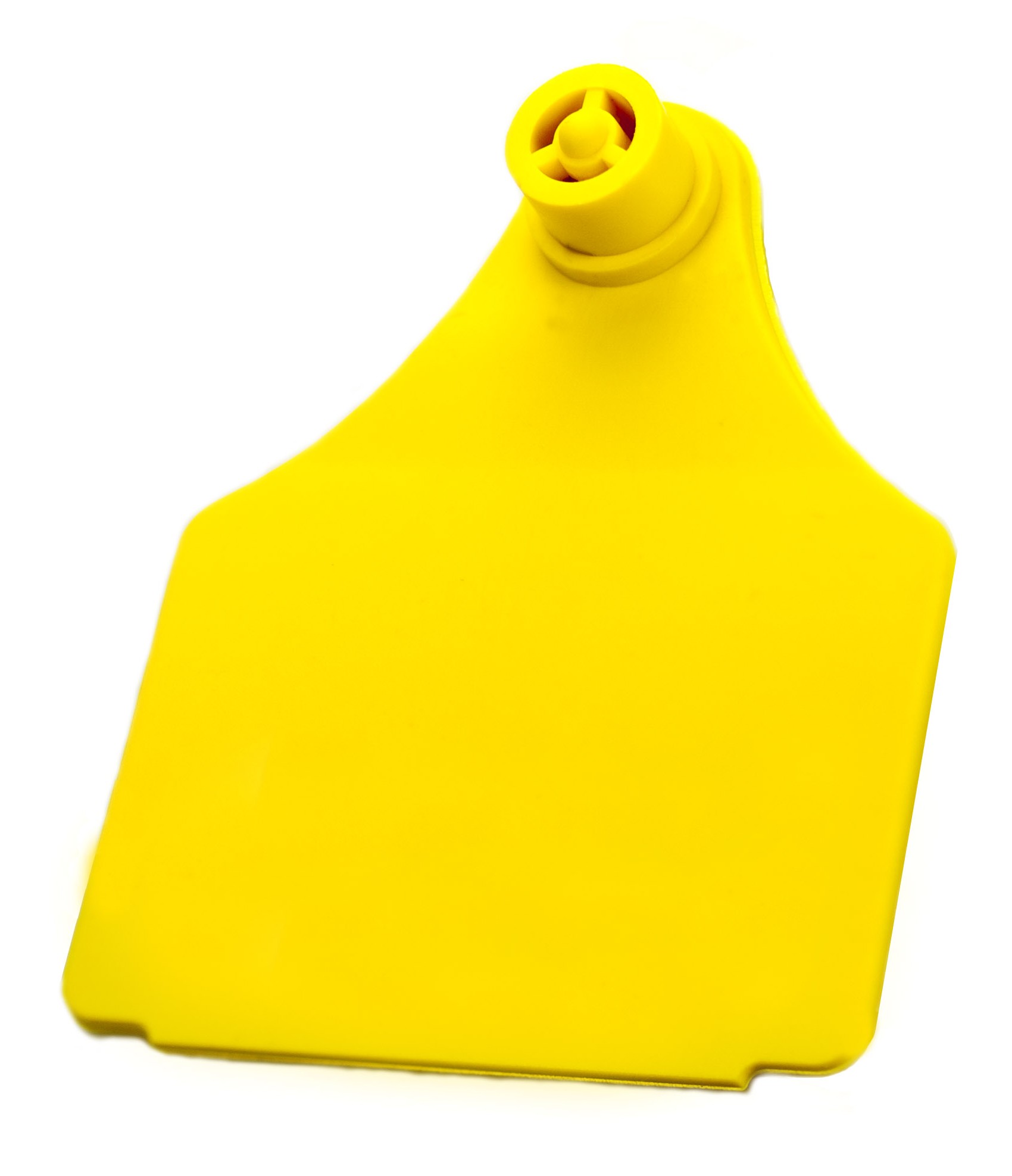 Female large ear tag - ARDES